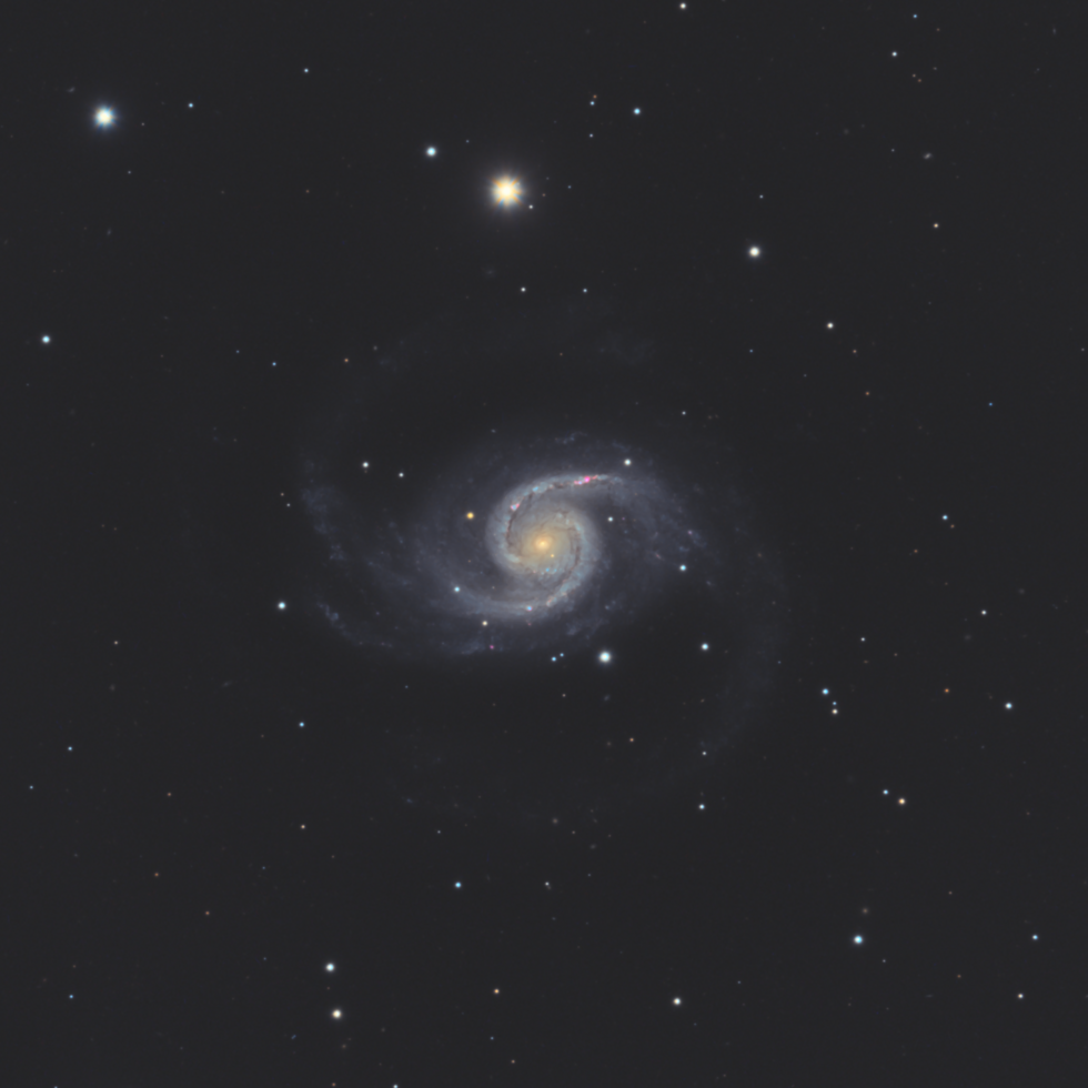 NGC 1566: The Spanish Dancer Spiral Galaxy from CHI-3 | Telescope Live